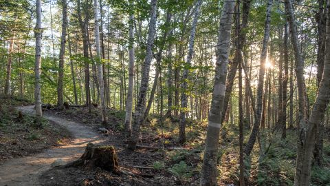 The 23 best things to do in the Eastern Townships of Quebec - Your full ...