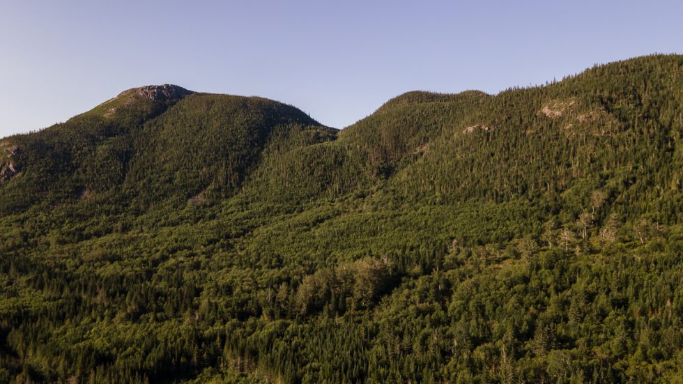 Top 15 most scenic road trips and fun drives in Quebec