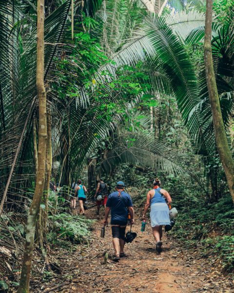 An adventure tour in Belize with Island Expeditions