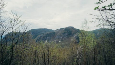 The 18 best nature parks & national parks in Quebec