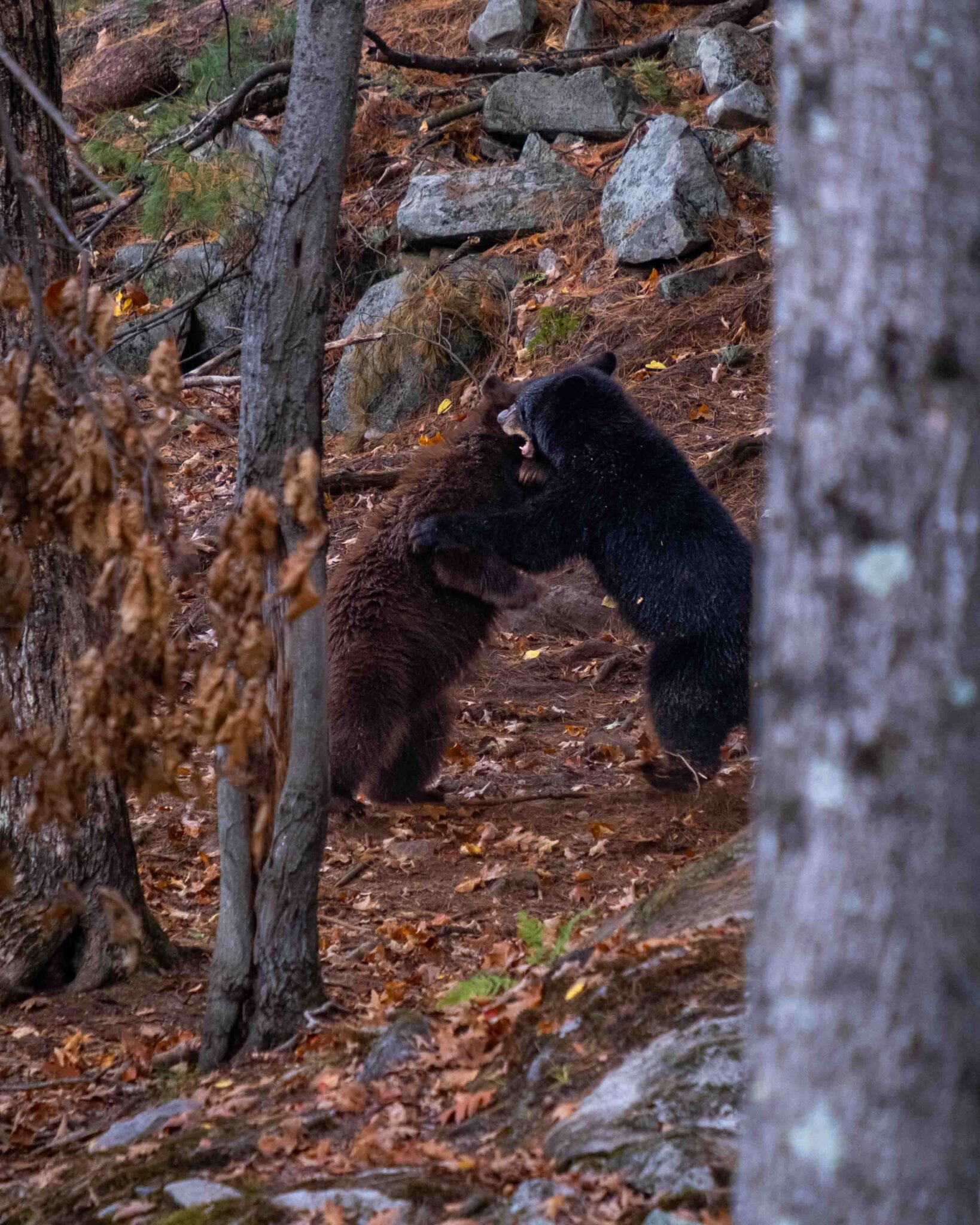 28 unique things to do in the Outaouais - Your ultimate Outaouais ...