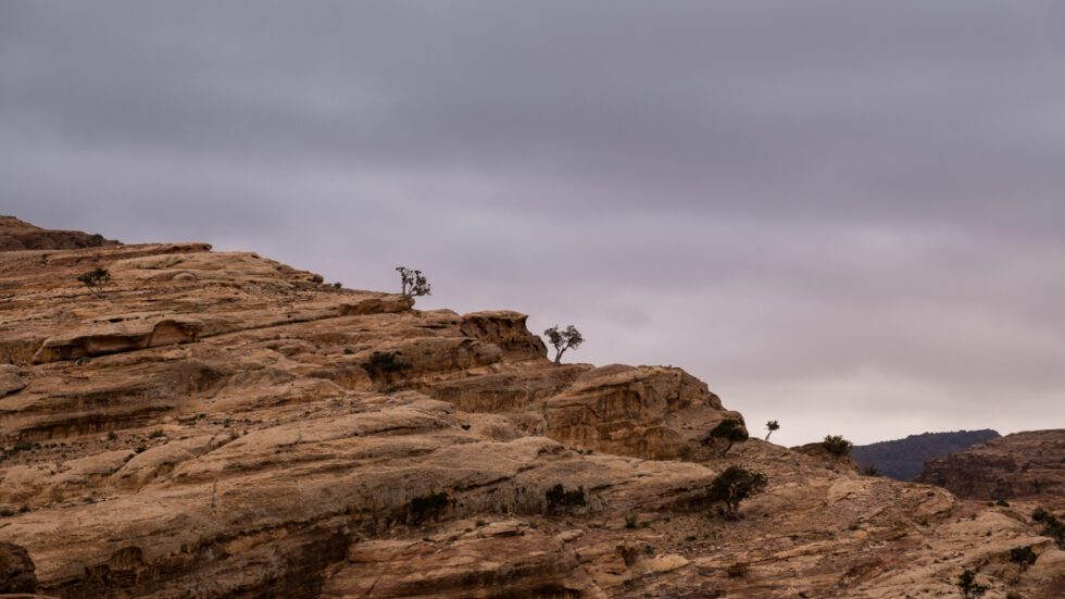 25 best things to do in Petra. Top attractions & hidden gems of the ...